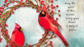 The Symbolism of Cardinals in Grief and Cultures