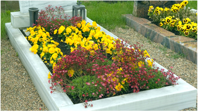 Why Do We Put Flowers on Graves? [+5 More Common Cemetery Symbols]