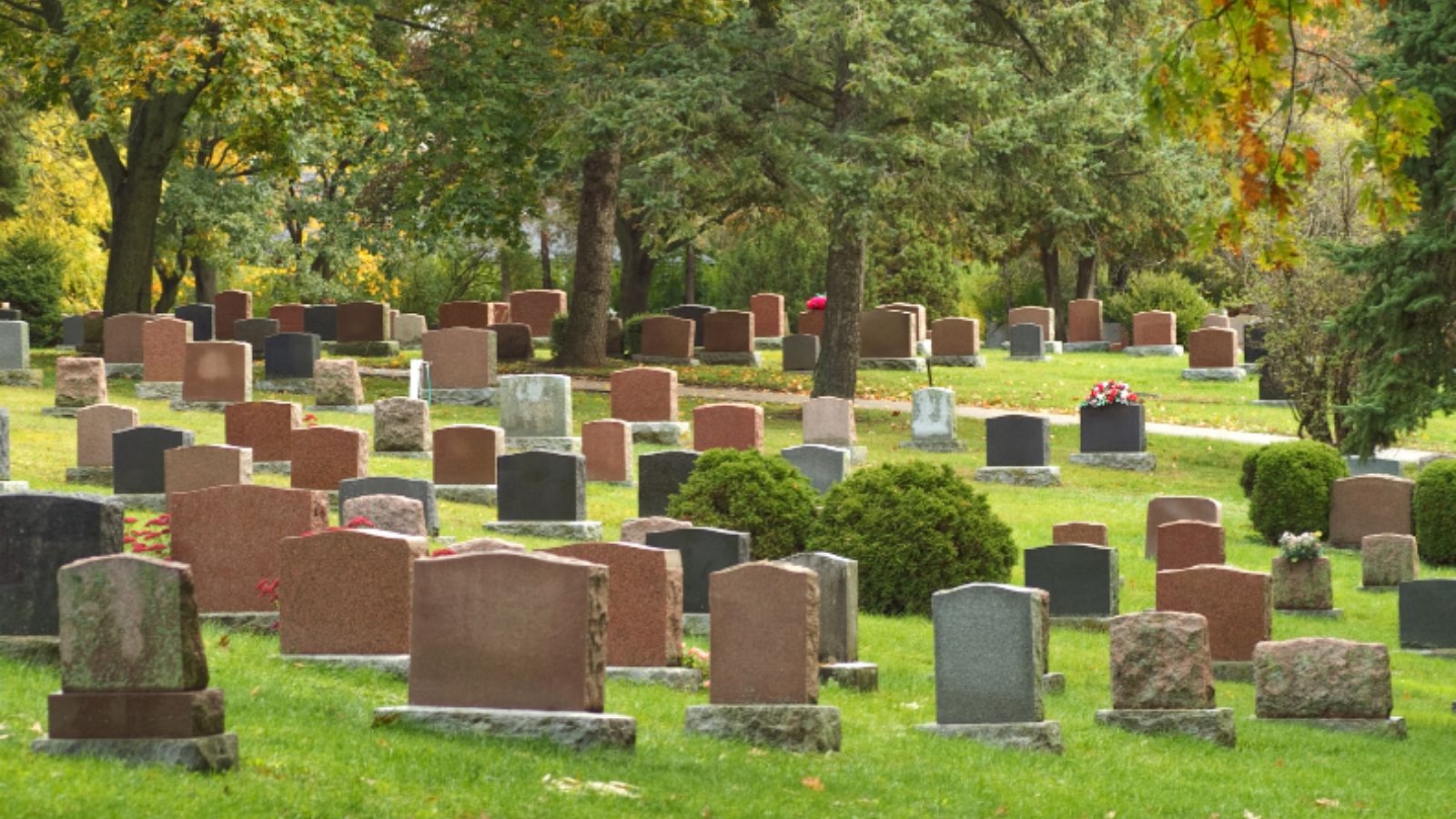 Why Location Matters When Choosing a Cemetery Plot