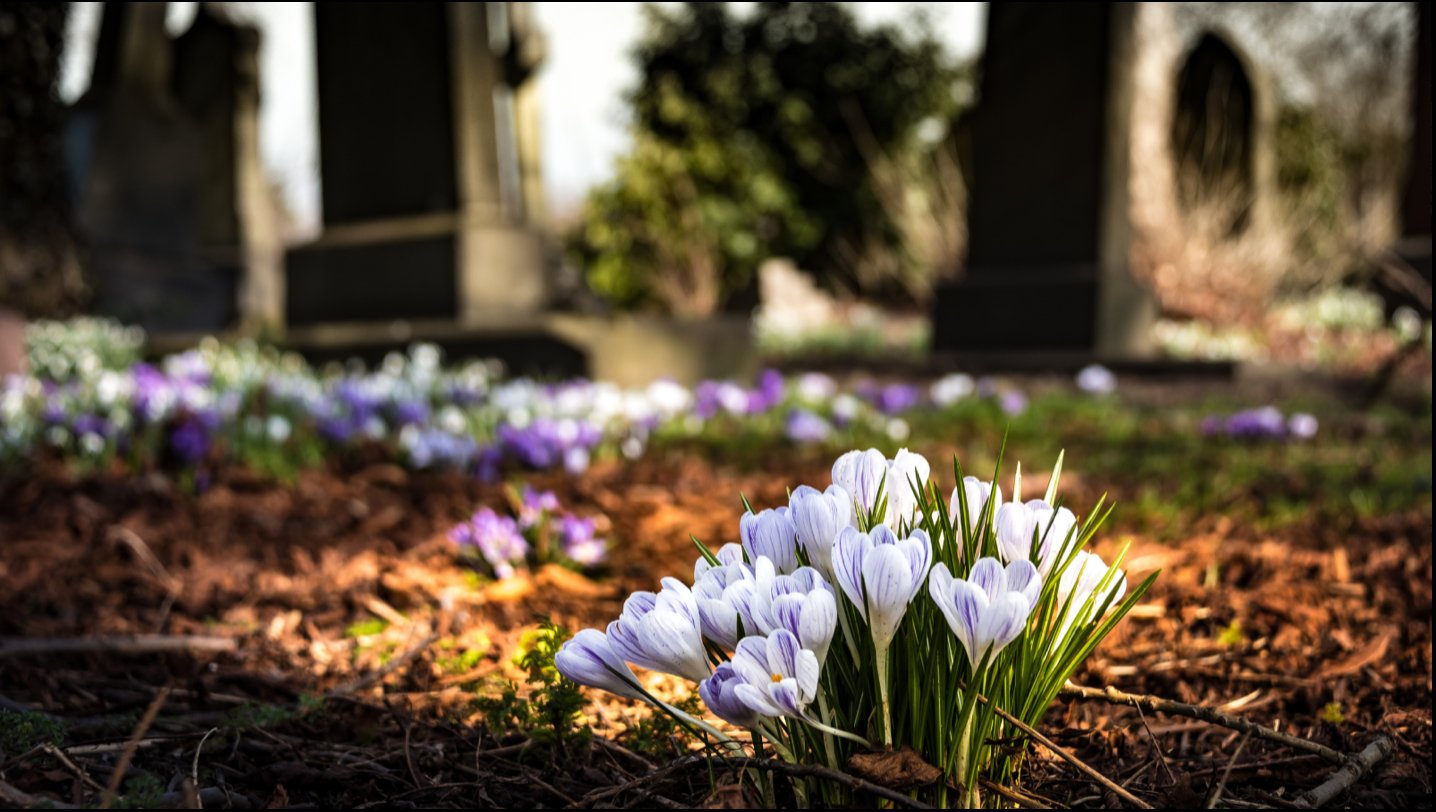 7 Common Cleveland Cemetery Rules and Regulations