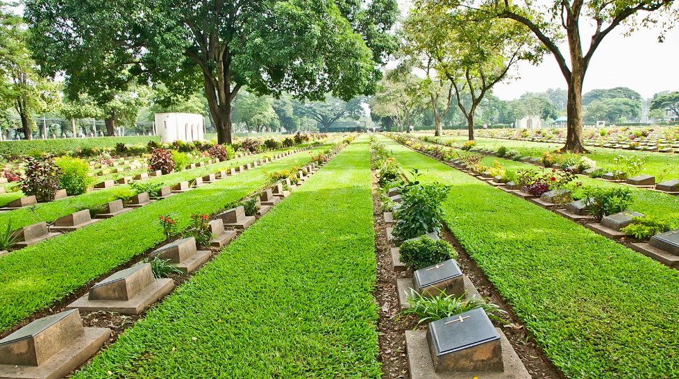 Memorial Provider Vs. Cemetery: What's the Difference?